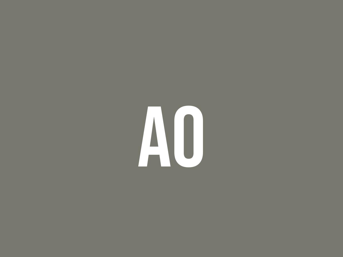 What Does Ao Mean Meaning Uses And More FluentSlang