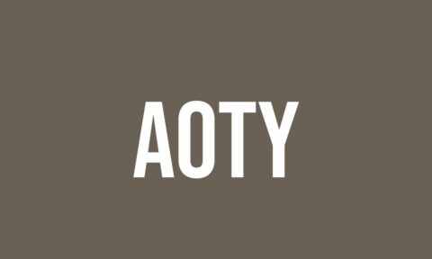 What Does Aoty Mean? - Meaning, Uses and More - FluentSlang