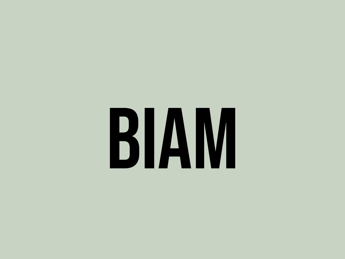 What Does Biam Mean? - Meaning, Uses and More - FluentSlang