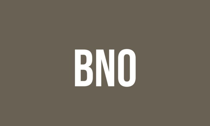 What Does Bno Mean? - Meaning, Uses and More - FluentSlang