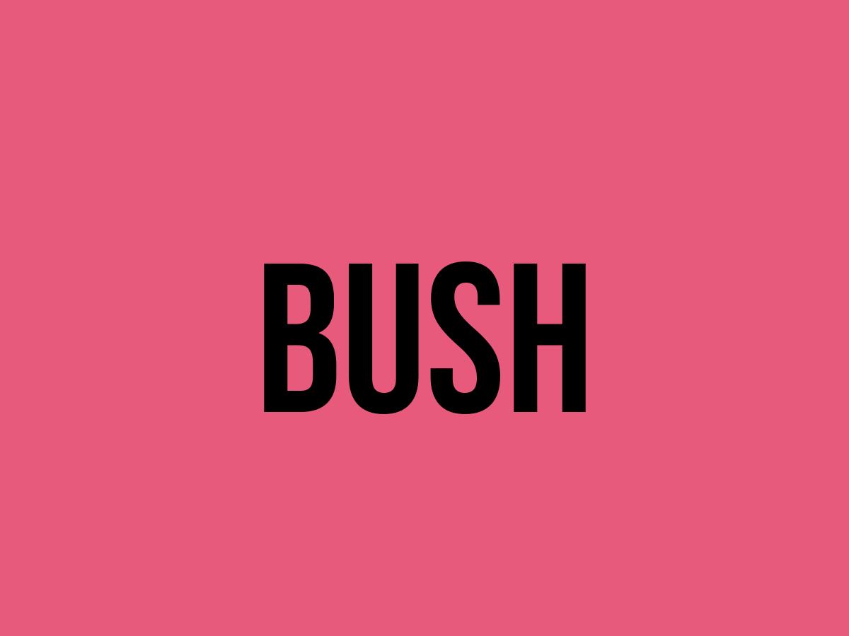 What Does Bush Mean Meaning Uses And More FluentSlang