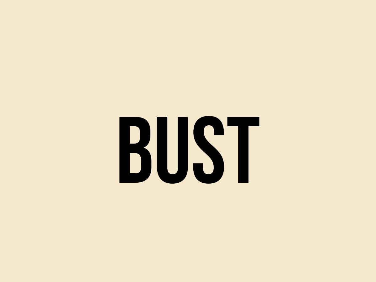 What Does Bust Mean Meaning Uses And More FluentSlang What Does Bust Mean Meaning Uses And More FluentSlang