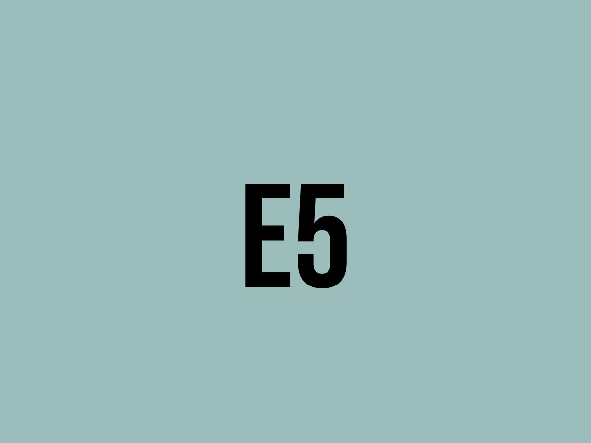What Does E5 Mean Meaning Uses And More FluentSlang What Does E5 Mean Meaning Uses And More FluentSlang