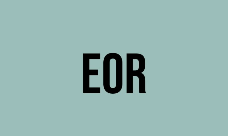 What Does Eor Mean? - Meaning, Uses and More - FluentSlang