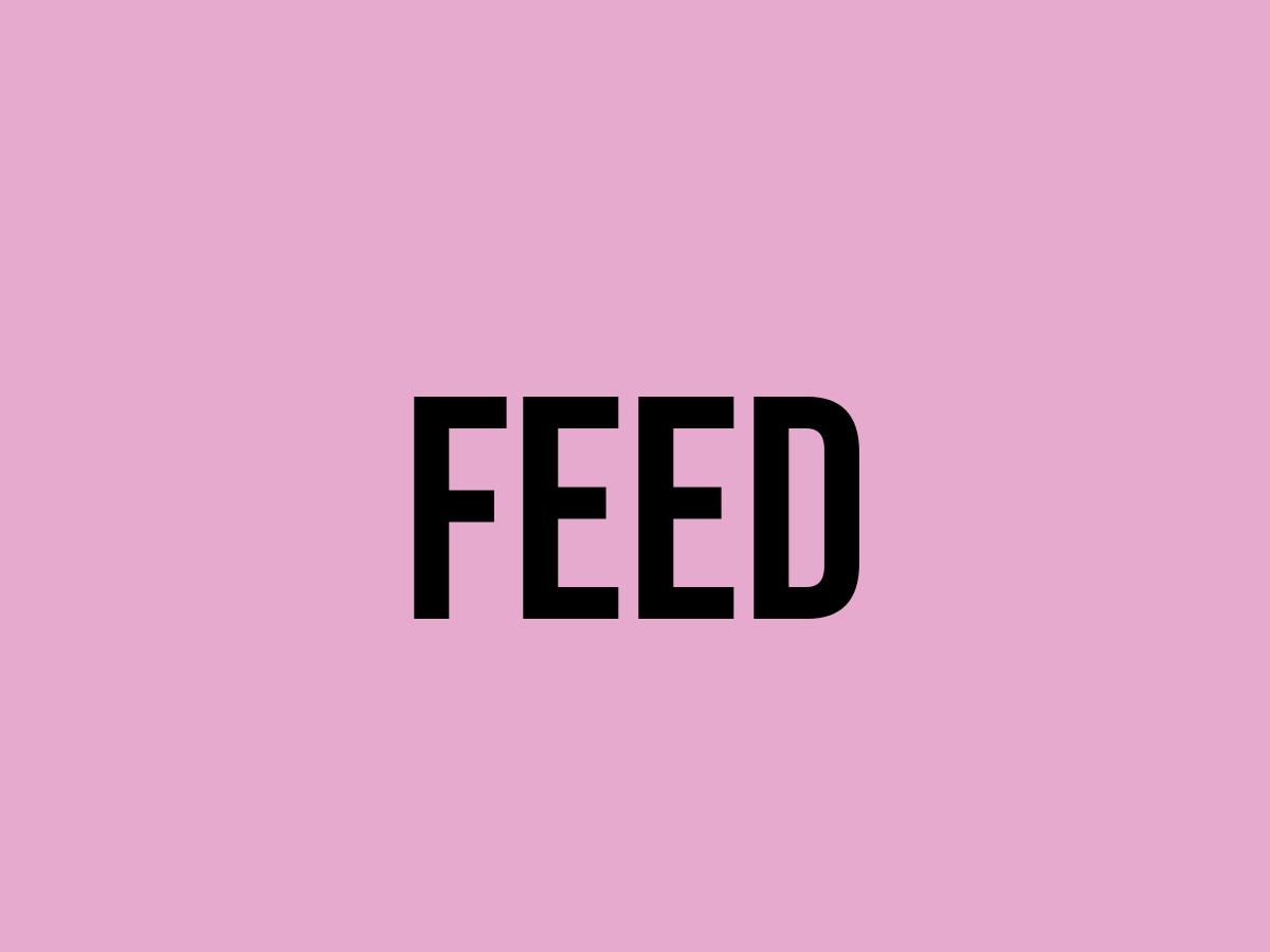 What Does Feed Mean Meaning Uses And More FluentSlang