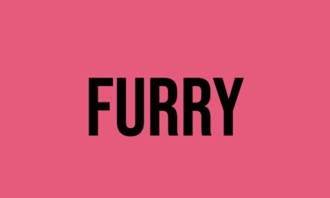 What Does Furry Mean? - Meaning, Uses and More - FluentSlang