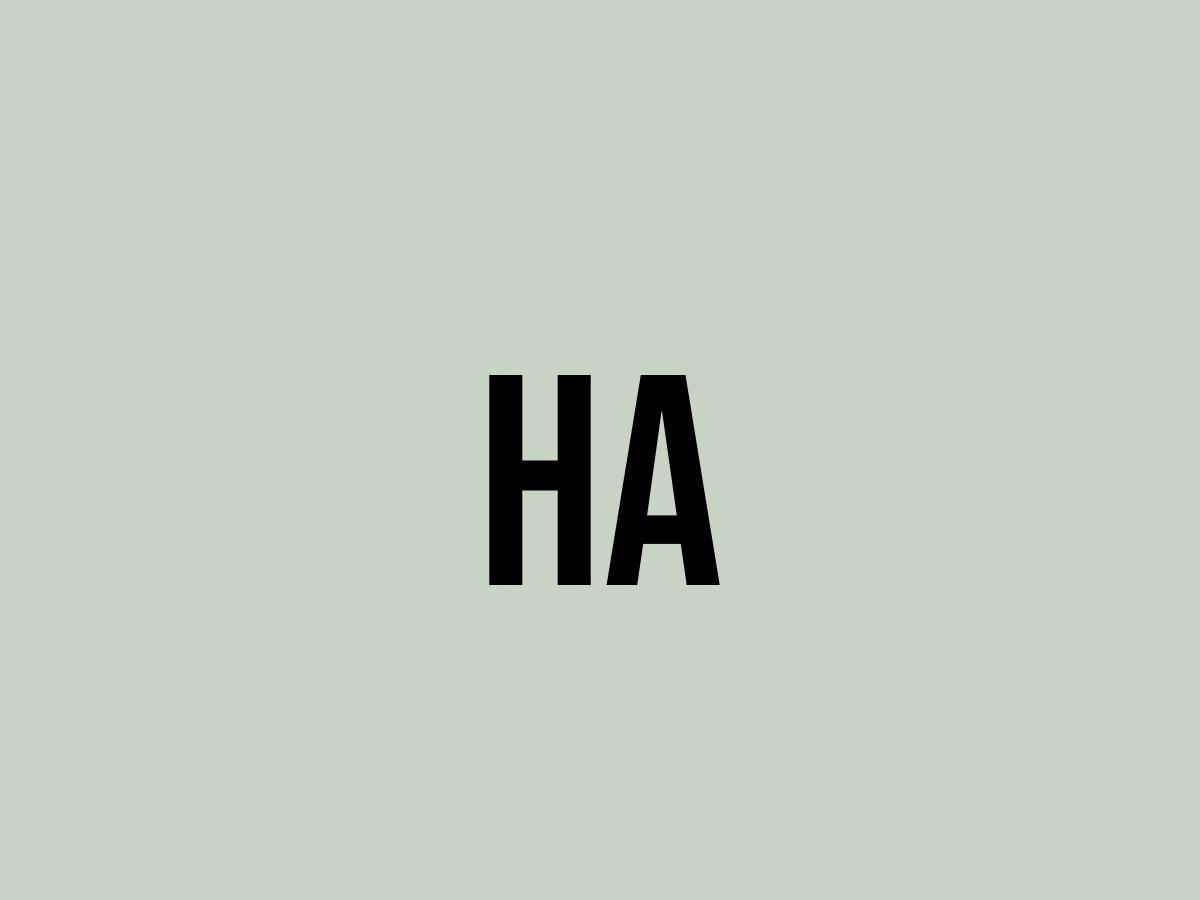 What Does Ha Mean Meaning Uses And More FluentSlang