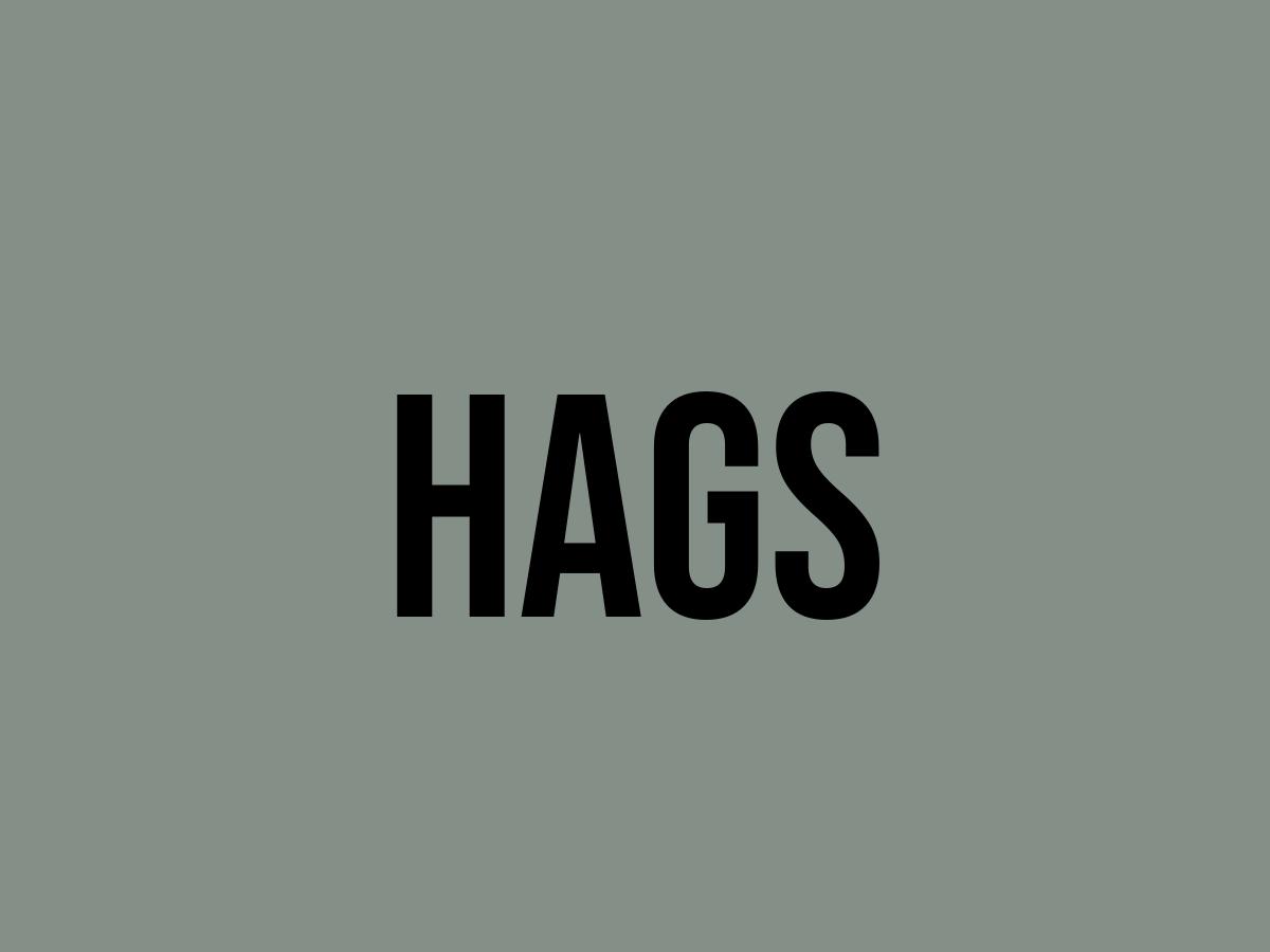 What Does Hags Mean Meaning Uses And More FluentSlang