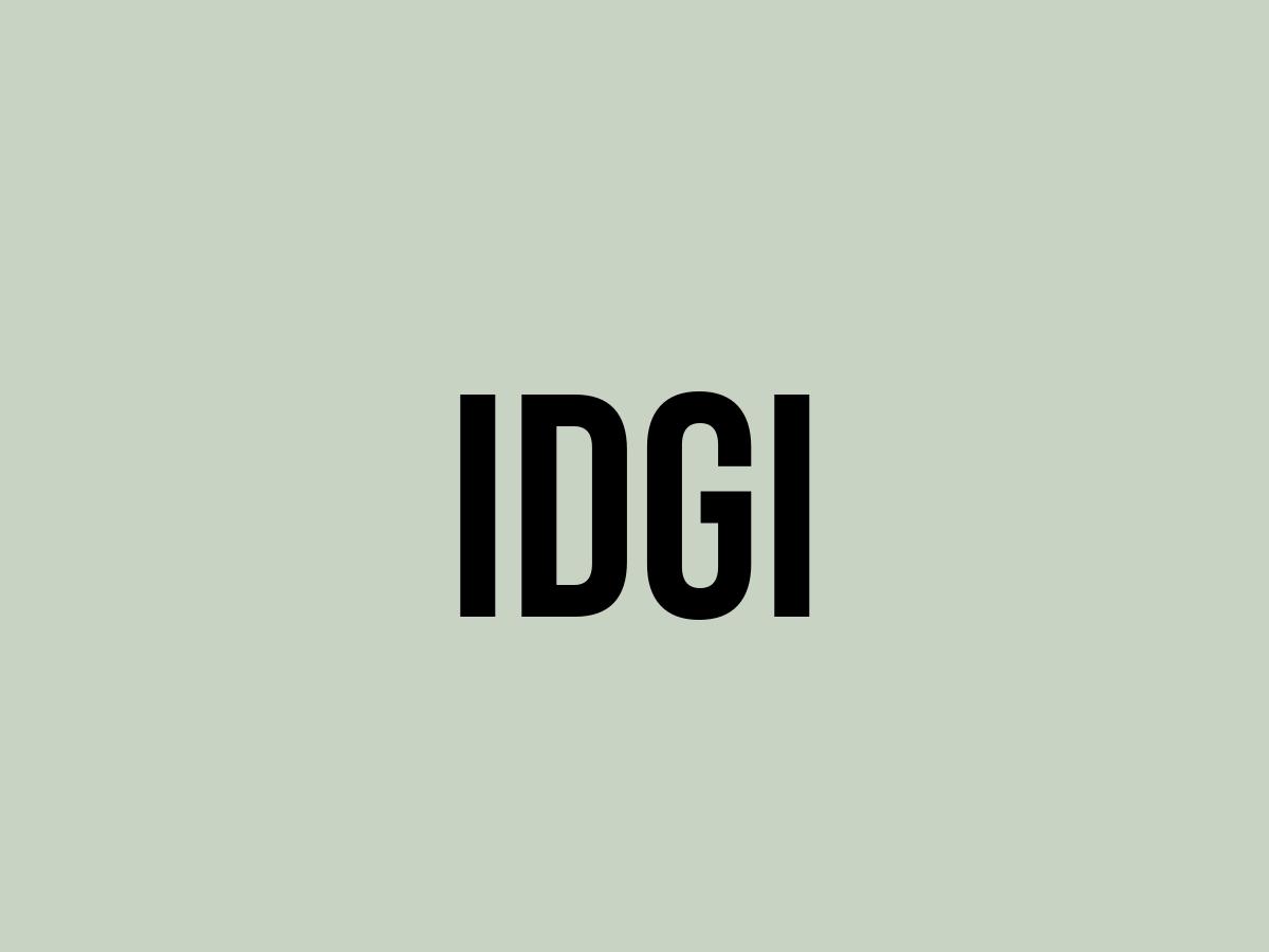What Does Idgi Mean Meaning Uses And More FluentSlang
