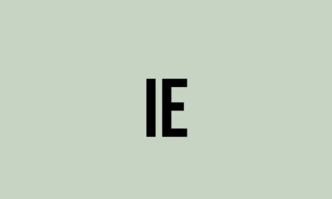 What Does Ie Mean? - Meaning, Uses and More - FluentSlang