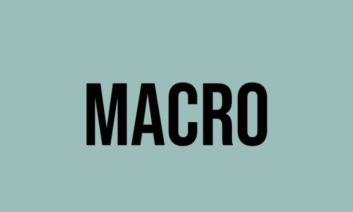 What Does Macro Mean? - Meaning, Uses and More - FluentSlang