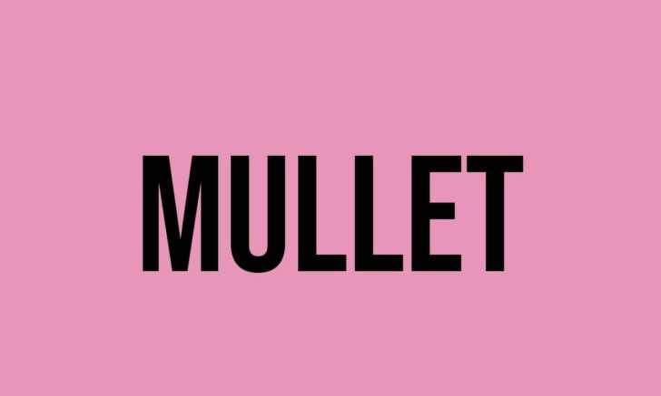 What Does Mullet Mean? - Meaning, Uses and More - FluentSlang