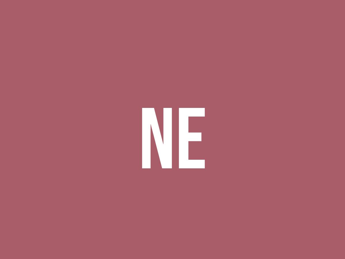 What Does Ne Mean Meaning Uses And More FluentSlang What Does Ne Mean Meaning Uses And More FluentSlang