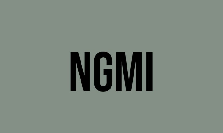 What Does Ngmi Mean? - Meaning, Uses and More - FluentSlang
