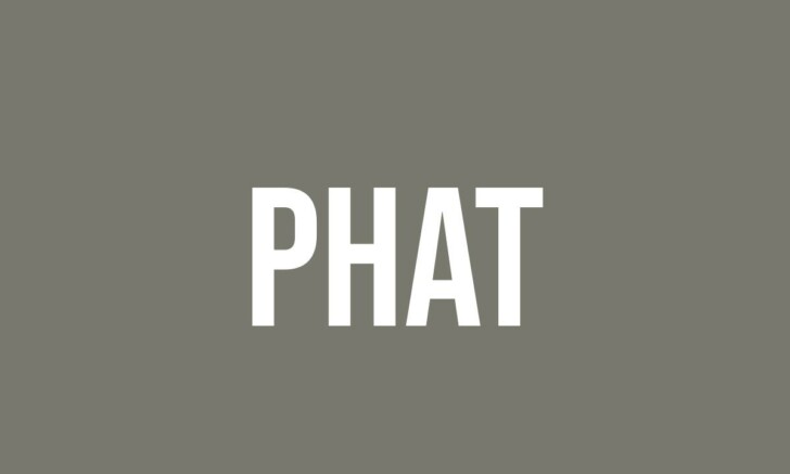 What Does Phat Mean? - Meaning, Uses and More - FluentSlang