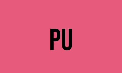 What Does Pu Mean? - Meaning, Uses and More - FluentSlang