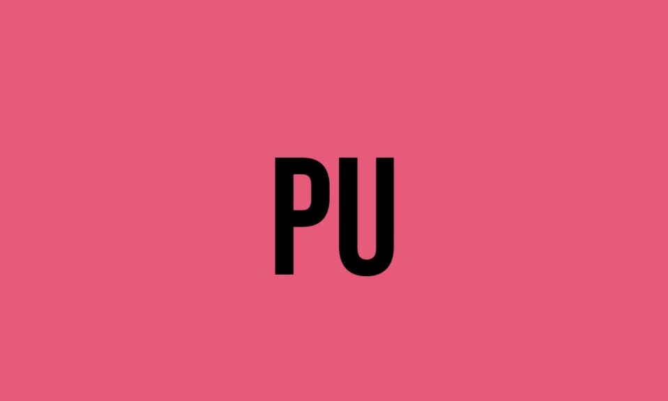 What Does Pu Mean Meaning Uses And More FluentSlang What Does Pu Mean Meaning Uses And More FluentSlang