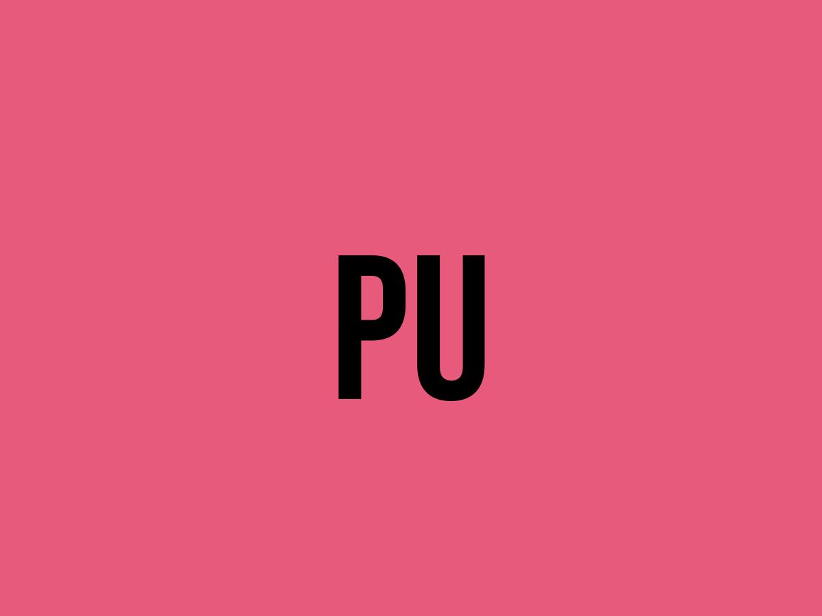 What Does Pu Mean Meaning Uses And More FluentSlang What Does Pu Mean Meaning Uses And More FluentSlang
