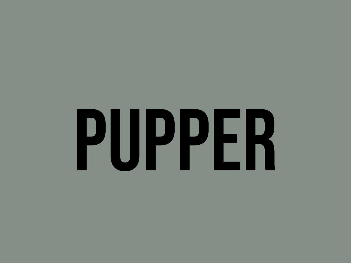 What Does Pupper Mean? - Meaning, Uses and More - FluentSlang