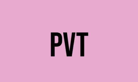 What Does Pvt Mean? - Meaning, Uses and More - FluentSlang