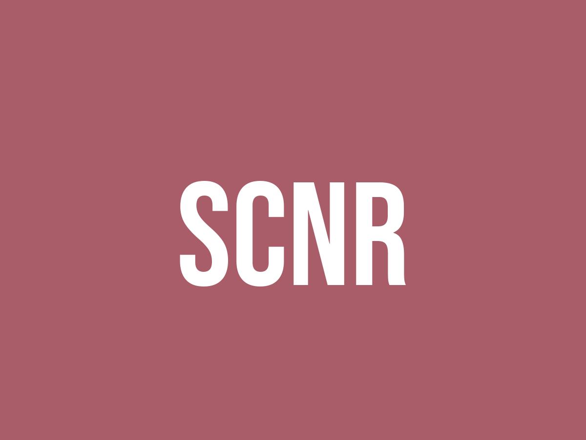 What Does Scnr Mean? - Meaning, Uses and More - FluentSlang