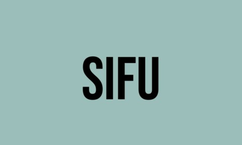 What Does Sifu Mean? - Meaning, Uses and More - FluentSlang