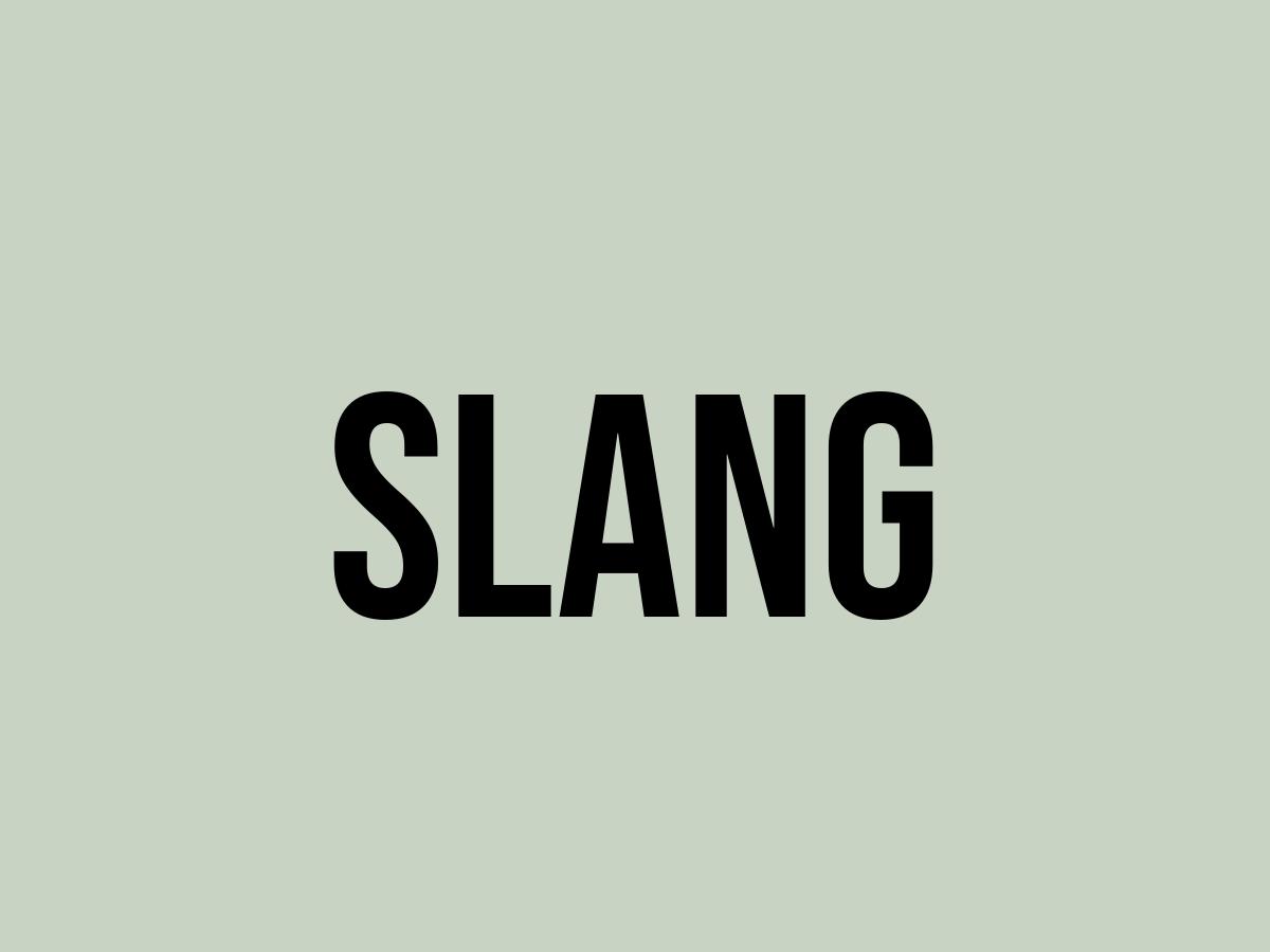 What Does Slang Mean Meaning Uses And More FluentSlang