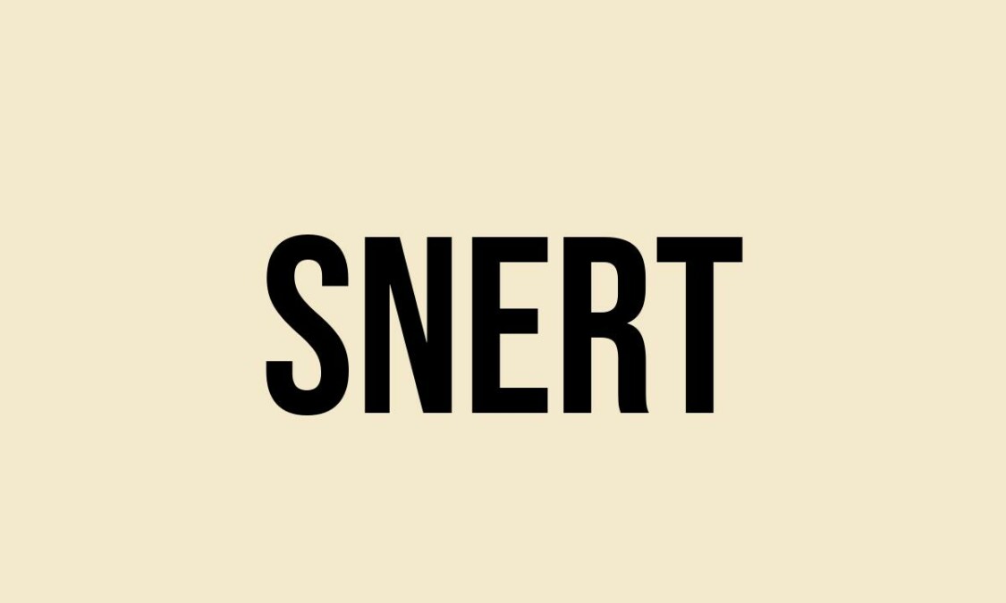 What Does Snert Mean? - Meaning, Uses and More - FluentSlang