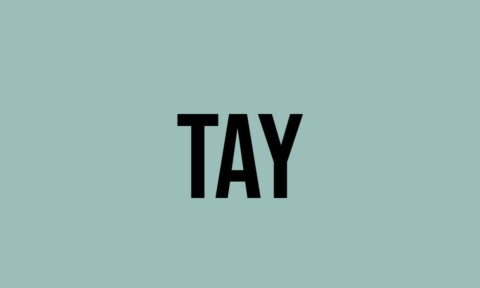 What Does Tay Mean? - Meaning, Uses and More - FluentSlang