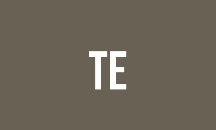 What Does Te Mean? - Meaning, Uses and More - FluentSlang