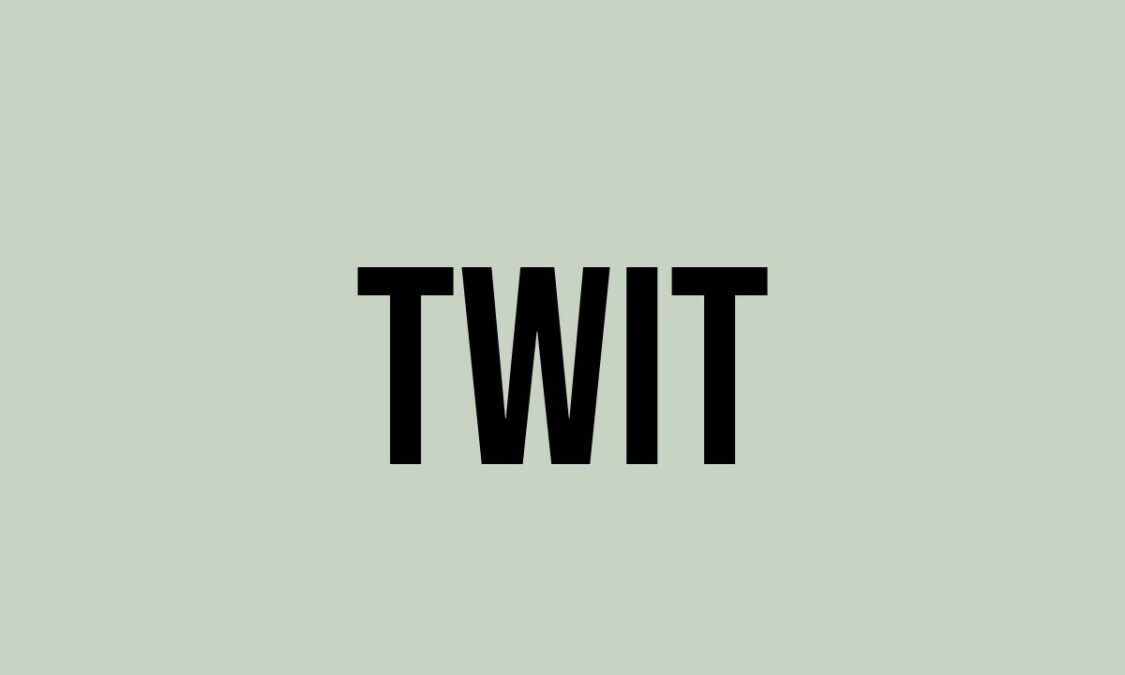 What Does Twit Mean? - Meaning, Uses and More - FluentSlang