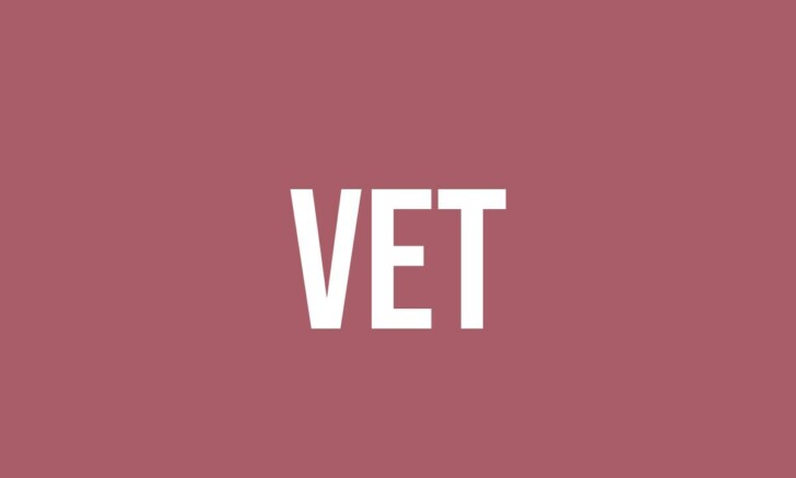 What Does Vet Mean? - Meaning, Uses and More - FluentSlang