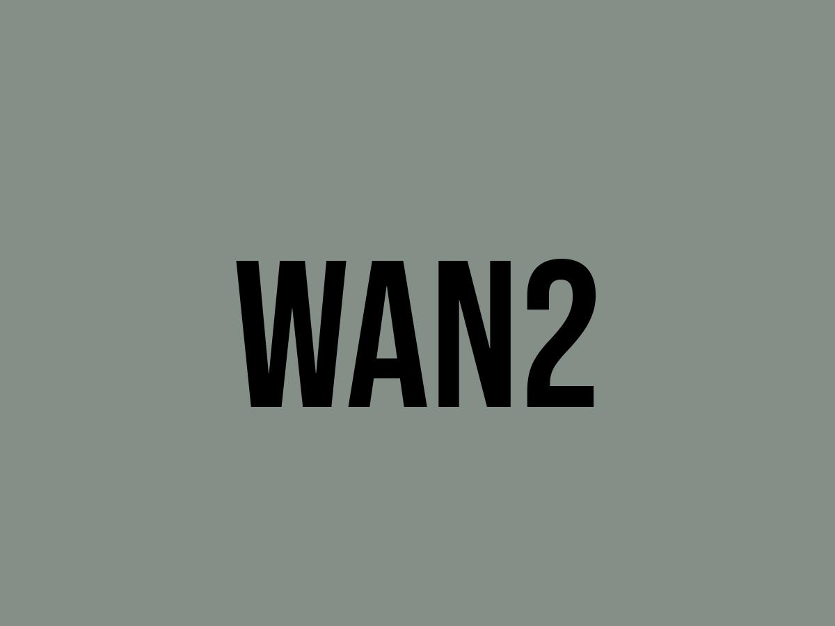 What Does Wan2 Mean? - Meaning, Uses and More - FluentSlang