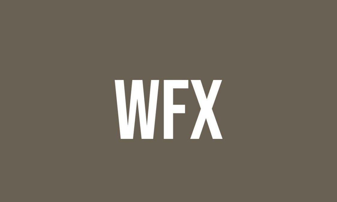 What Does Wfx Mean? - Meaning, Uses and More - FluentSlang