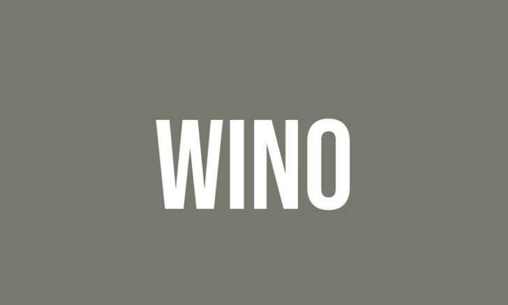 What Does Wino Mean? - Meaning, Uses and More - FluentSlang