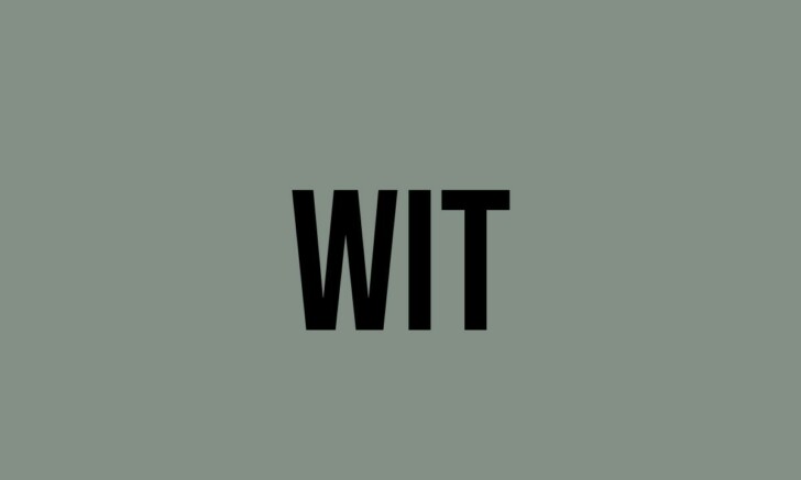What Does Wit Mean? - Meaning, Uses and More - FluentSlang