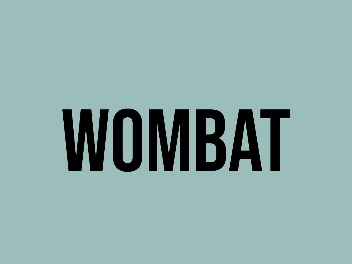 What Does Wombat Mean? - Meaning, Uses and More - FluentSlang
