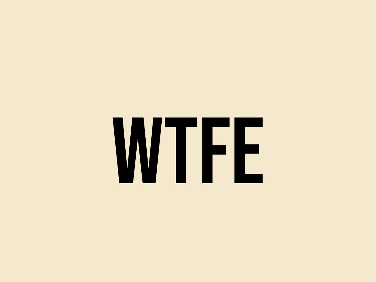 What Does Wtfe Mean? - Meaning, Uses and More - FluentSlang