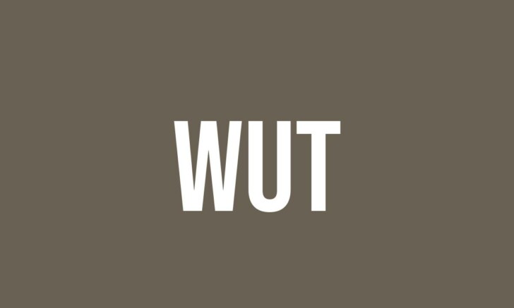 What Does Wut Mean? - Meaning, Uses and More - FluentSlang