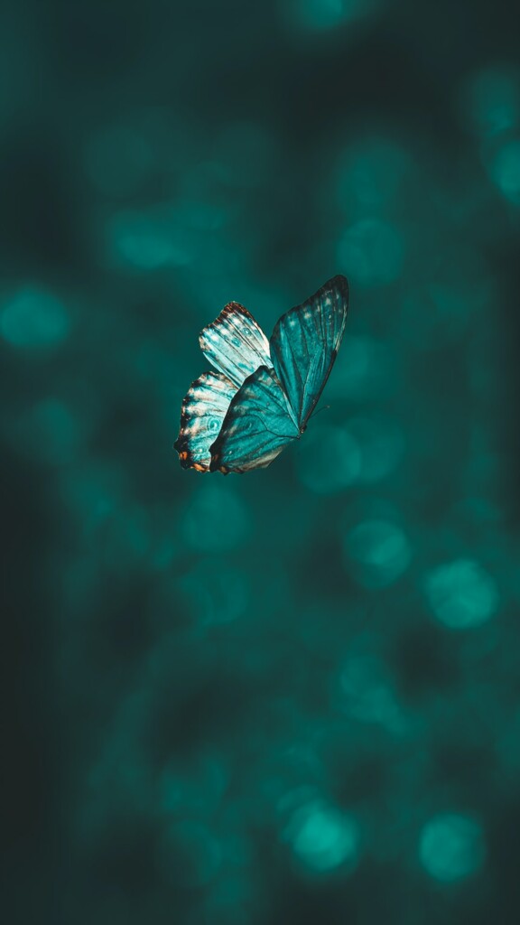 300 Best Names for Butterfly - Name Generator & Ideas - FluentSlang